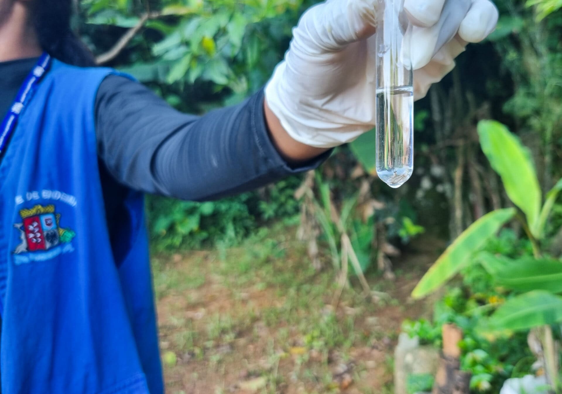 Prefeitura de São José reforça alerta para prevenção da dengue durante ...